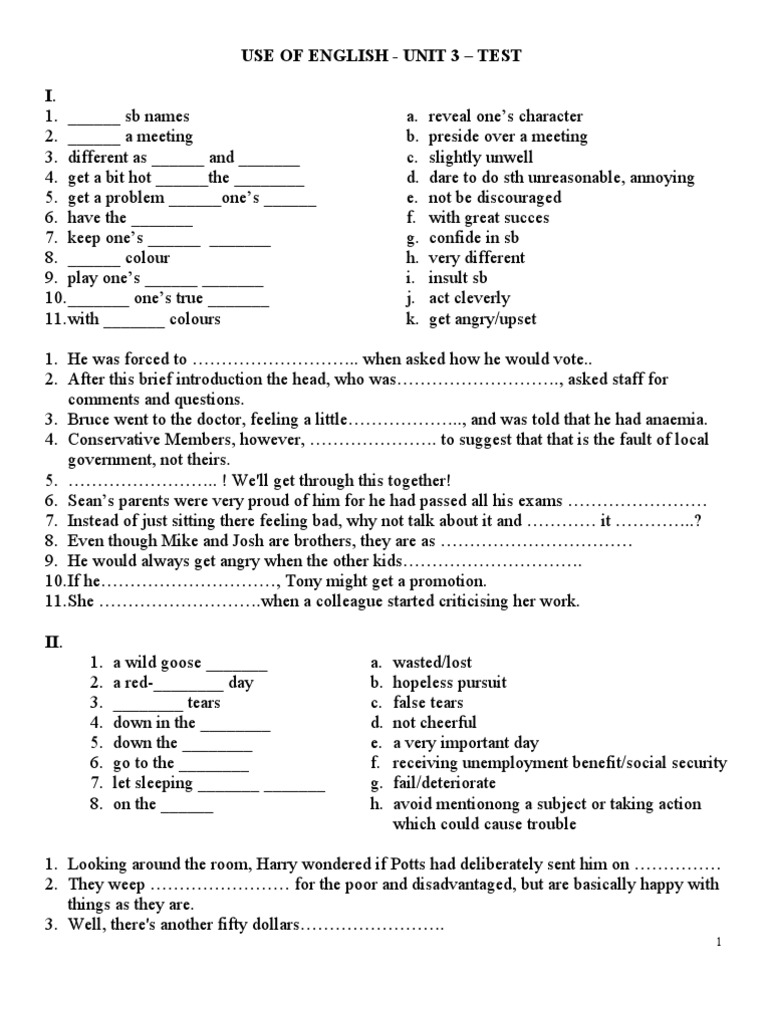 English Vocabulary and Idioms Test | PDF