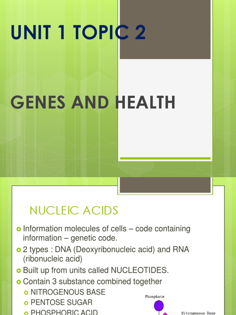 Genes and Health | PDF | Dna | Rna