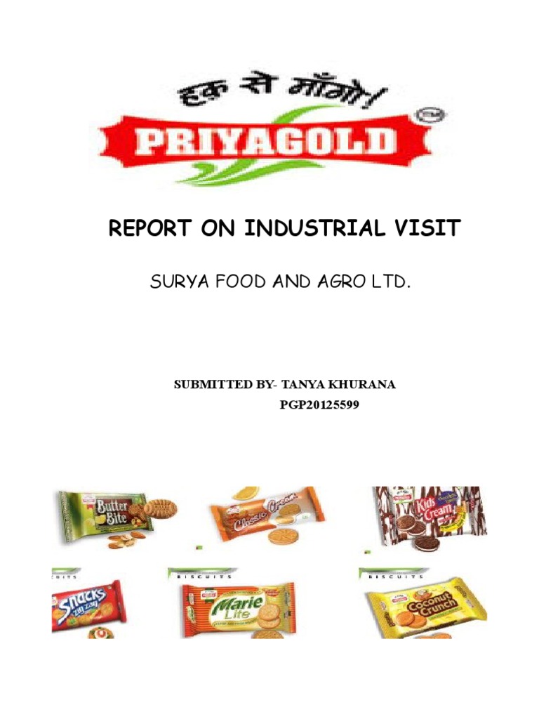 SURYA FOOD AND AGRO LTD. INDUSTRIAL VISIT REPORT | PDF | Dough ...