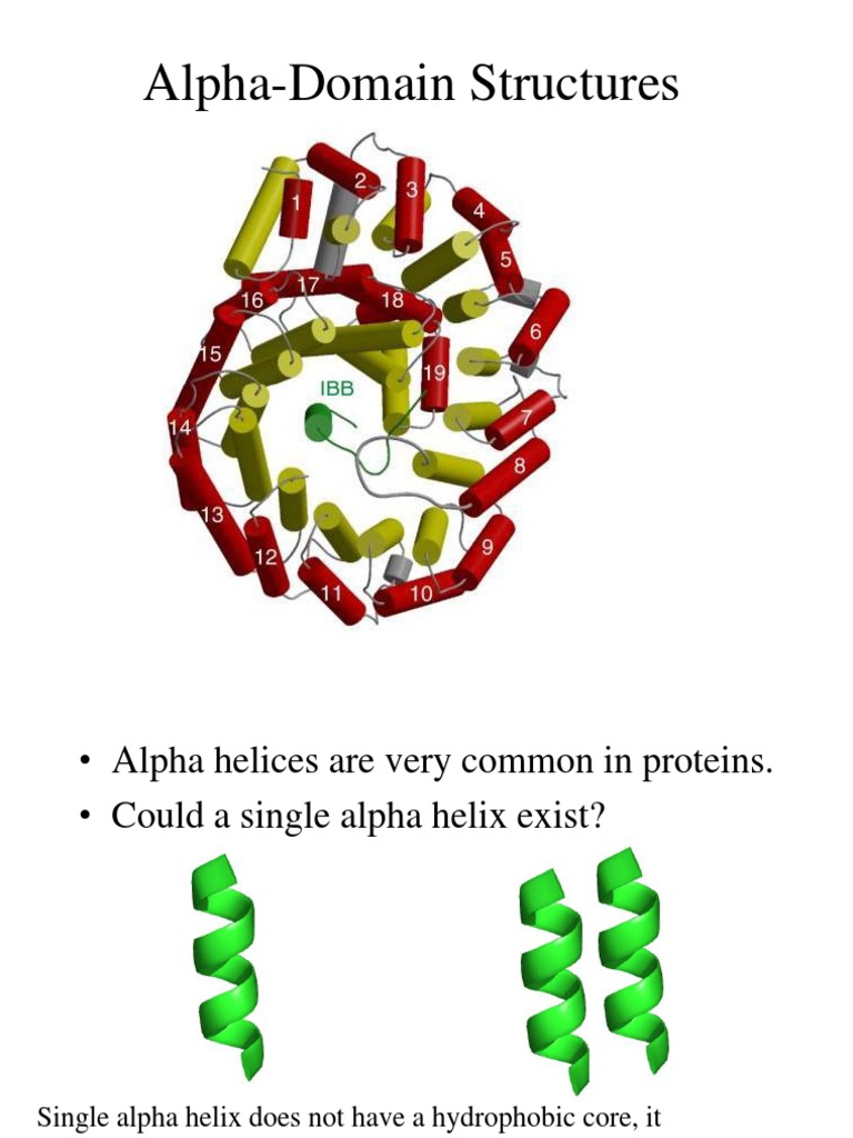 Alpha | Alpha Helix | Hemoglobin