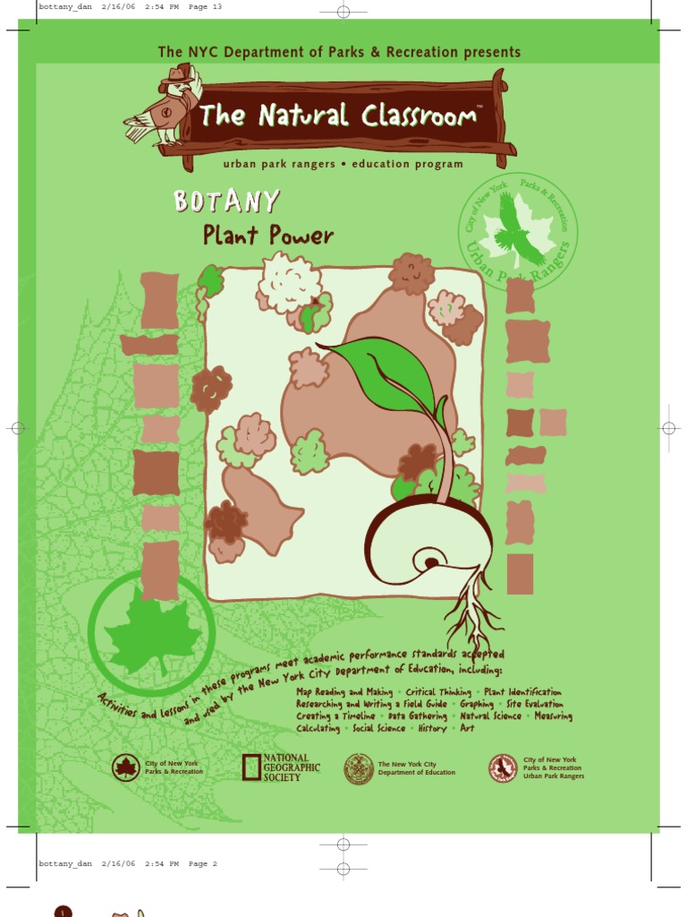 Botany | PDF | Seed | Photosynthesis