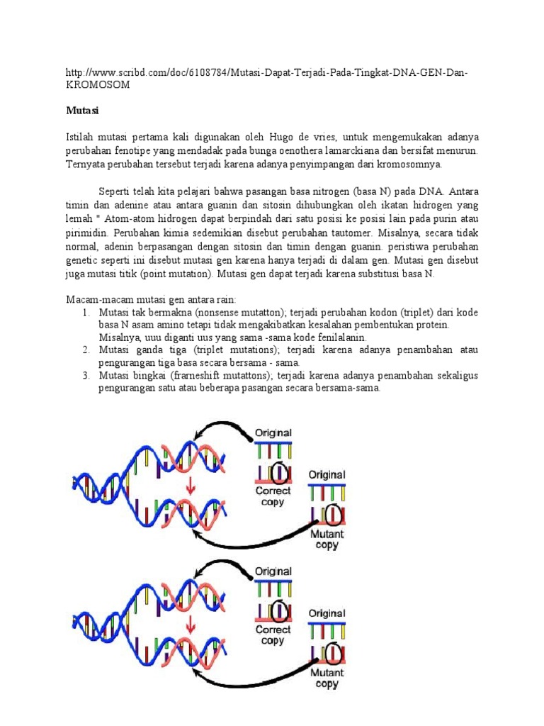 Jenis-jenis Mutasi DNA dan Kromosom | PDF | Sains & Matematika