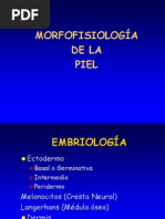 Estructura y función del sistema tegumentario del gato | PDF | Piel | Gatos