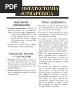 Uretrostomía y Deferentopexia | PDF | Vejiga urinaria | Testículo