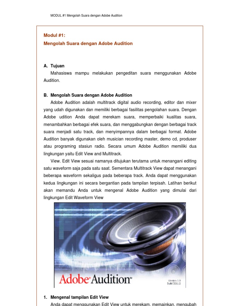 Mengelola Suara Dengan Adobe Audition | PDF