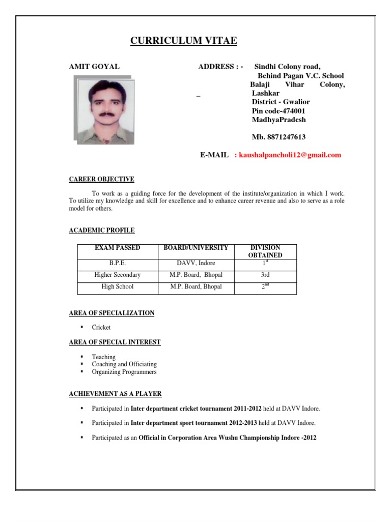 Amit Goyal's Cricket Coaching CV | PDF | Career & Growth