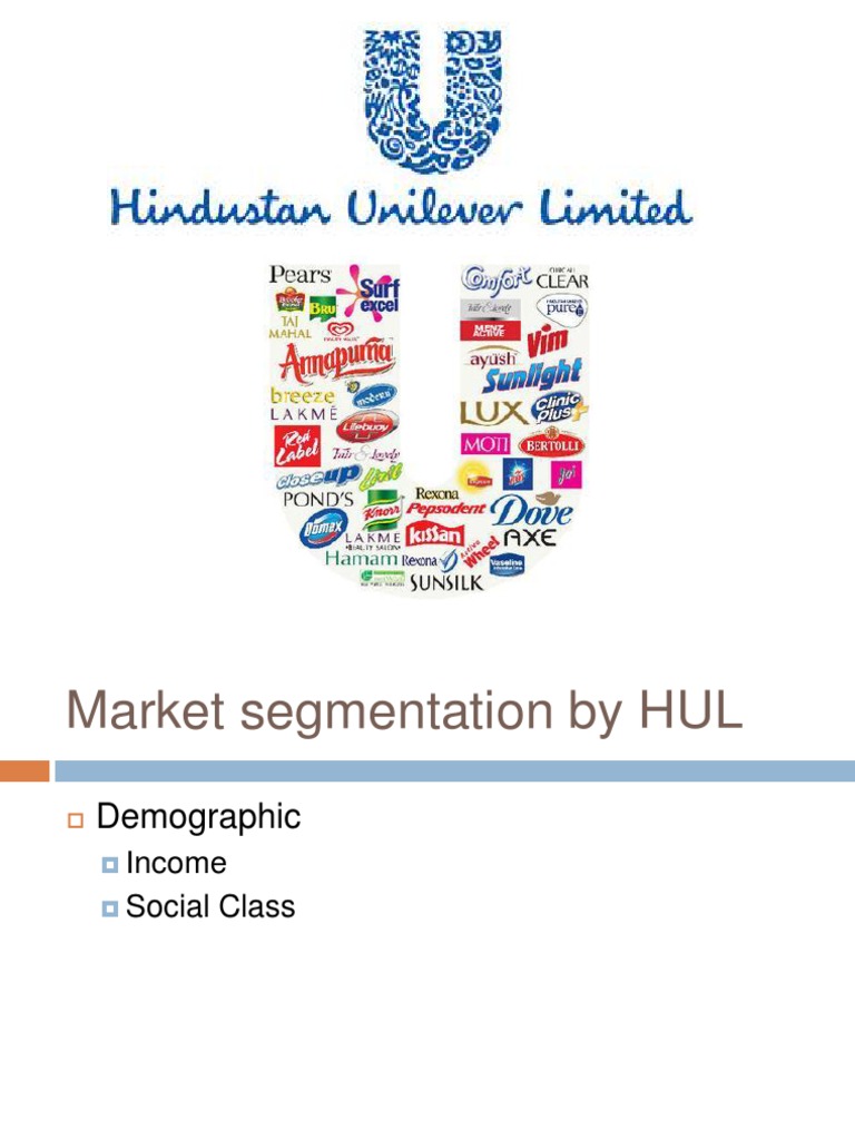 Case Study HUL Market Segmentation | PDF