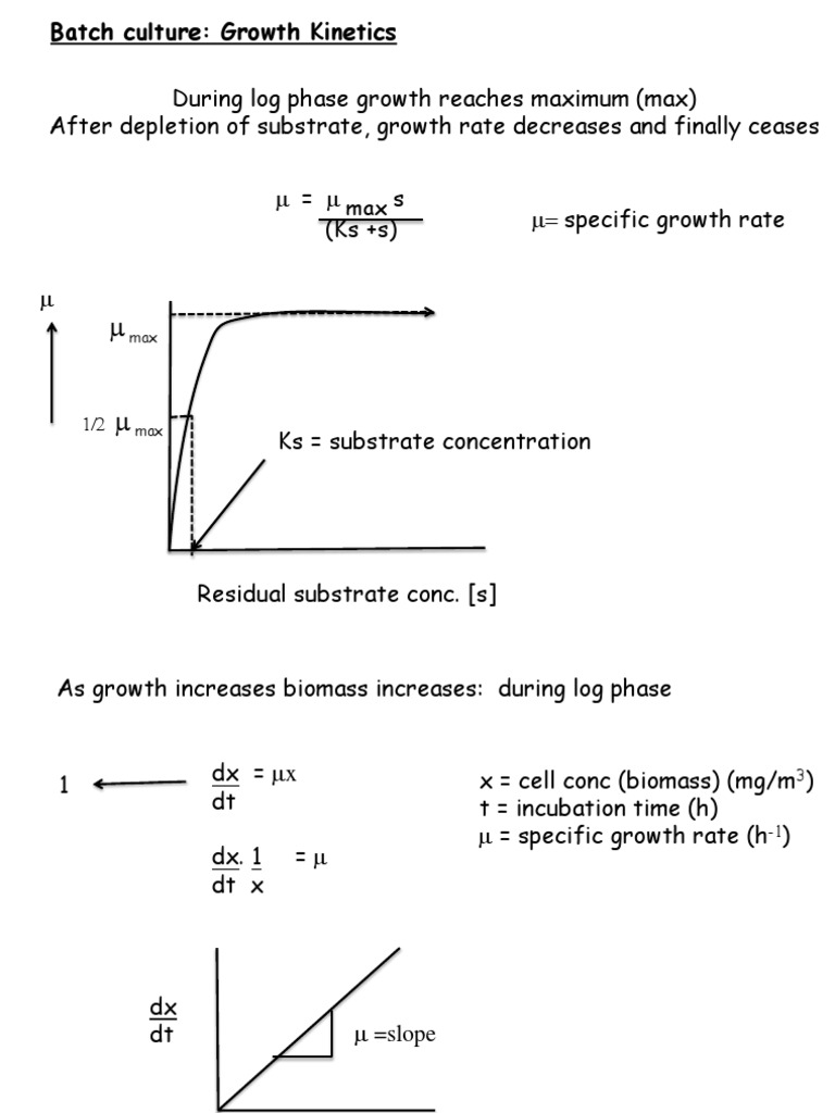 2. Microbial Growth Kinetics | Metabolic Pathway | Metabolism