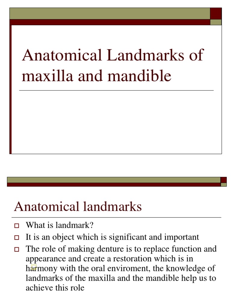 Landmarks For Maxilla and Mandible | PDF | Tongue | Human Head And Neck