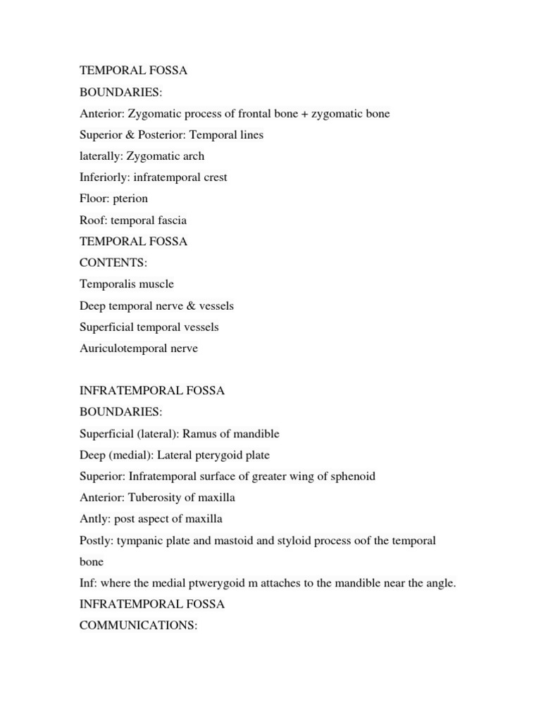Temporal Fossa | PDF | Human Head And Neck | Human Anatomy