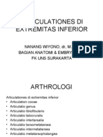 Anatomi Genu | PDF
