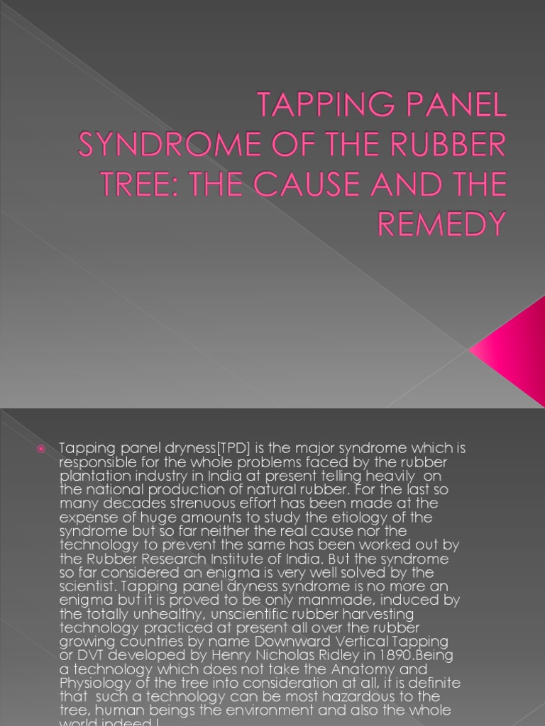 Tapping Panel Syndrome of The Rubber Tree | PDF | Natural Rubber | Trees