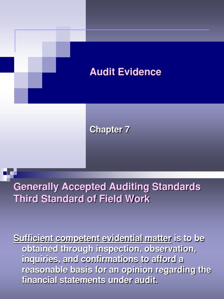 Audit Evidence | PDF