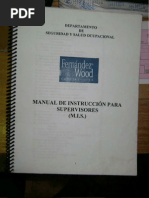 Procedimiento Toma 5 en Seguridad Laboral | PDF | Riesgo | Business