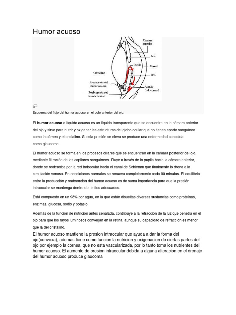 Circulación y Funciones del Humor Acuoso | PDF | Ojo humano | Ojo
