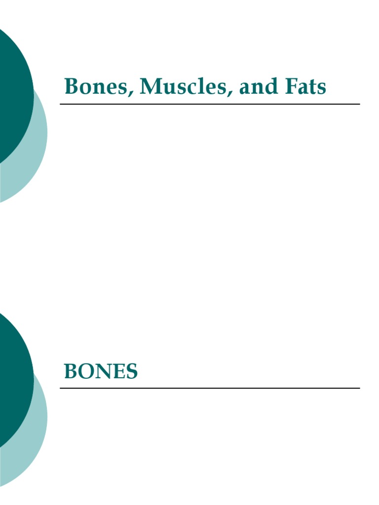 Bones, Muscles, and Fats | PDF | Bone | Skeletal System