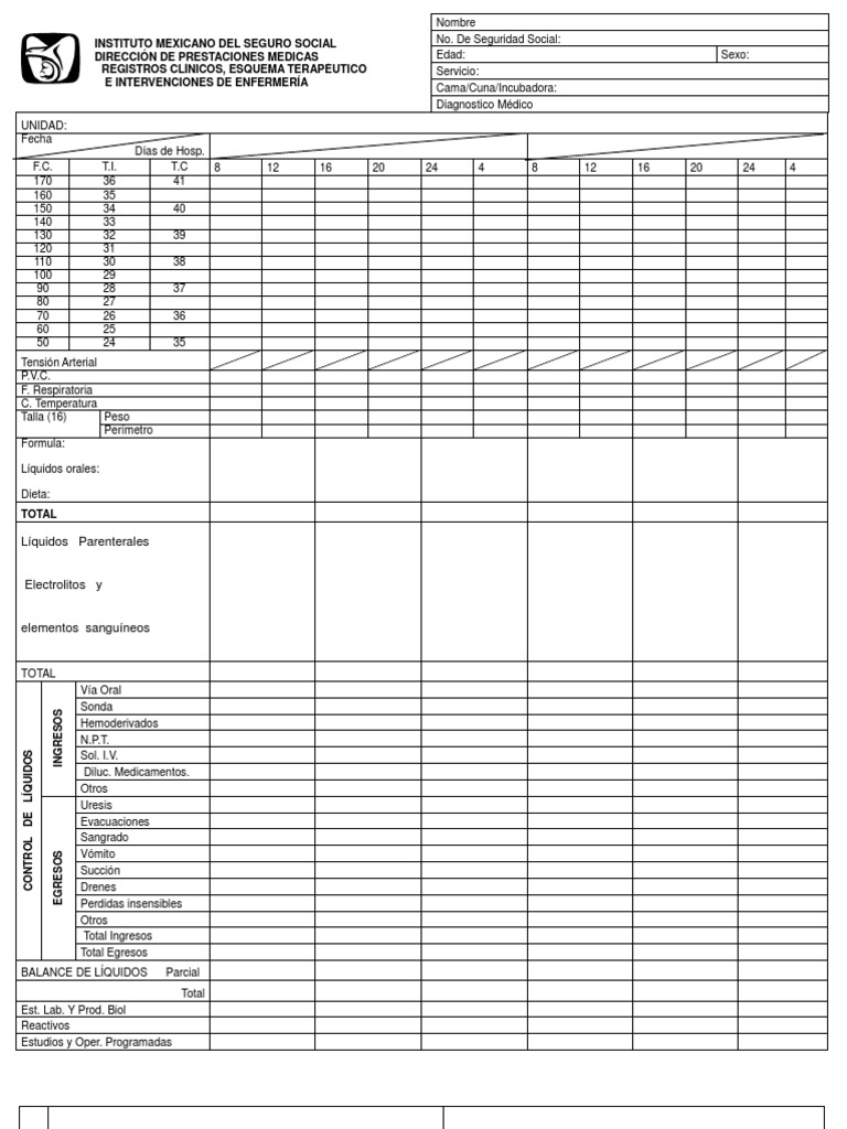 hoja de enfermería imss