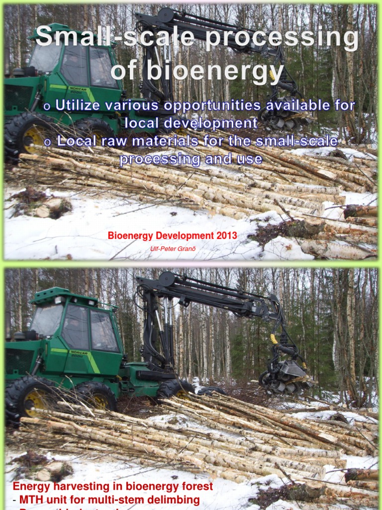 Small-Scale Processing of Bioenergy 2013 EN Ulf-Peter Granö | PDF ...