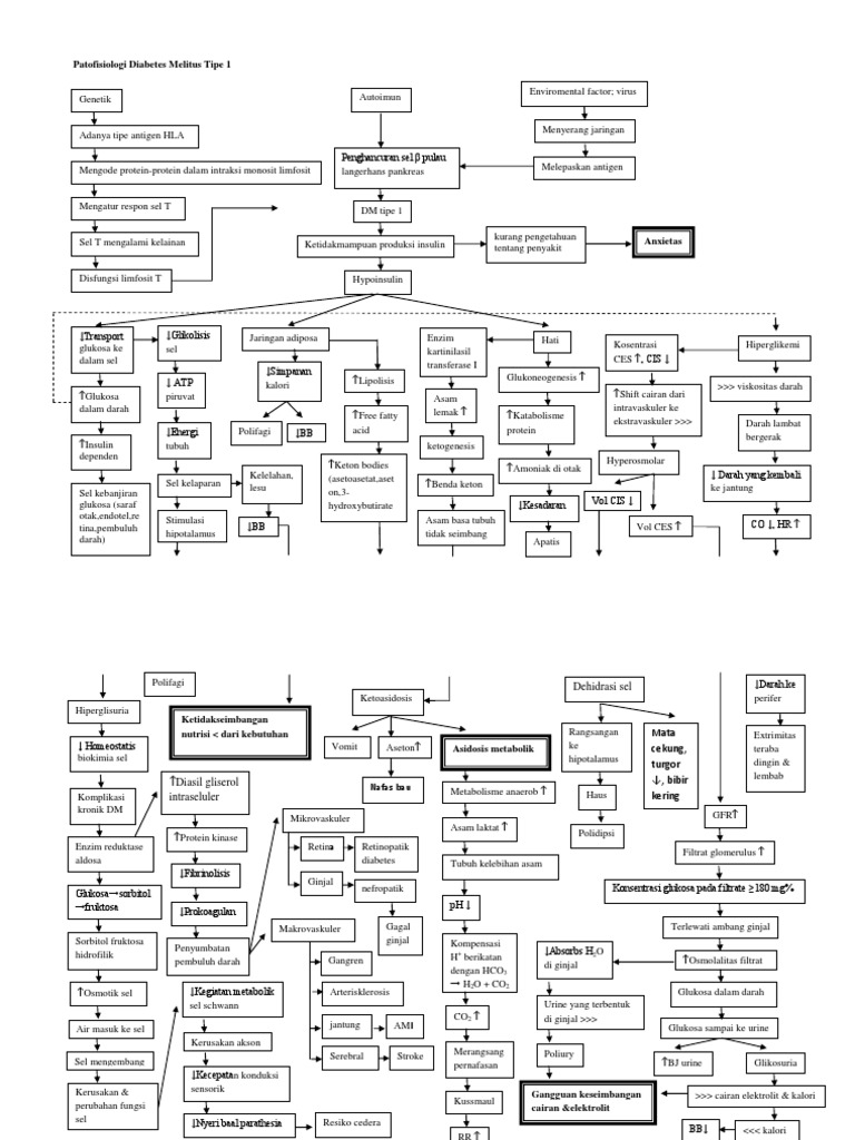 Patofisiologi Diabetes Melitus Tipe 1 New
