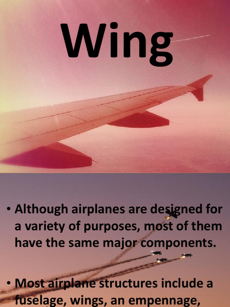 Aircraft Wing Structure and Types | PDF | Business