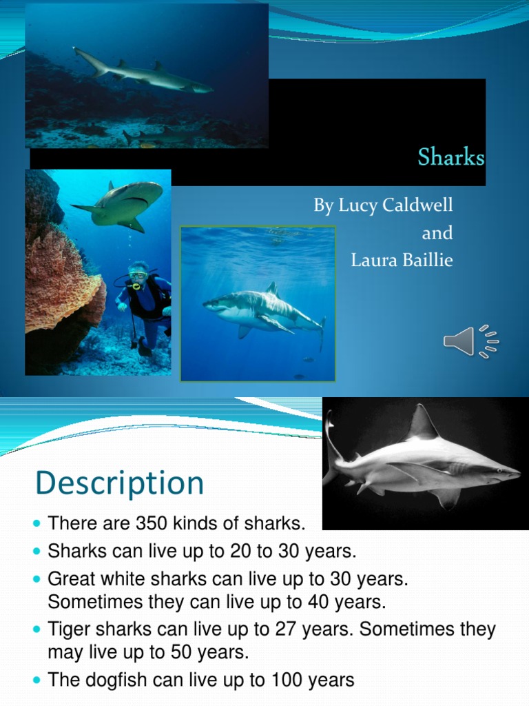 Facts About Sharks: Lifespan, Habitat, and Diet | PDF