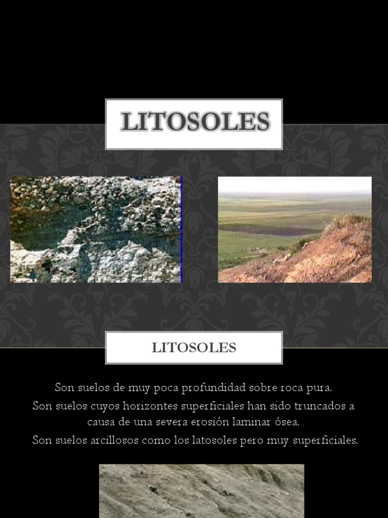 LITOSOLES
