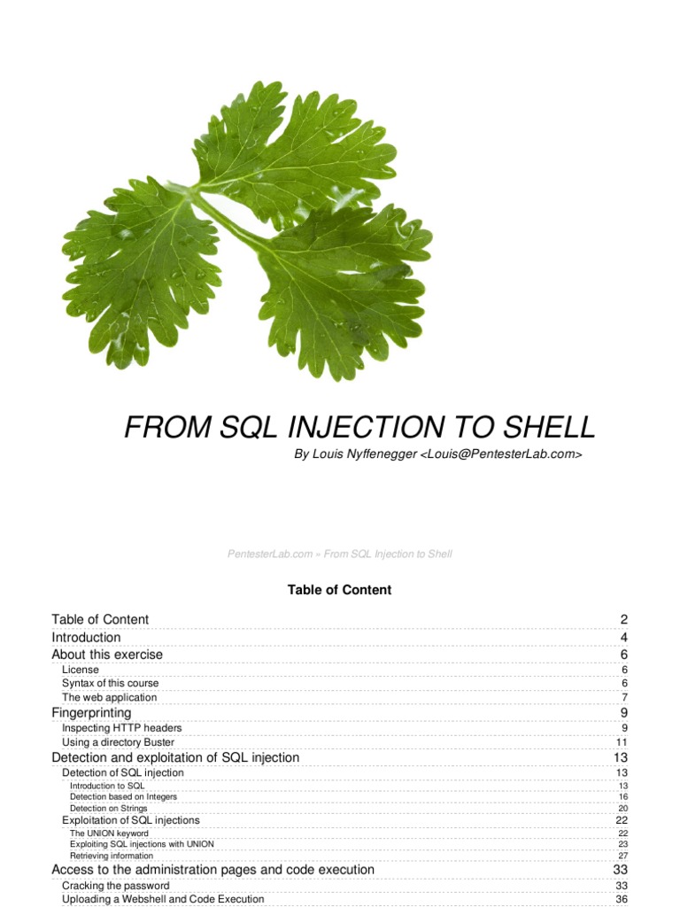 SQL Injection | PDF | Sql | Php