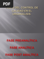 Guía de Prueba RPR en Laboratorio | PDF | Especialidades Medicas ...
