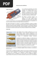 Estructura y función de la miosina | PDF | Biología Molecular ...