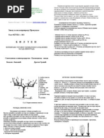 Ruze Topalovic Katalog | PDF