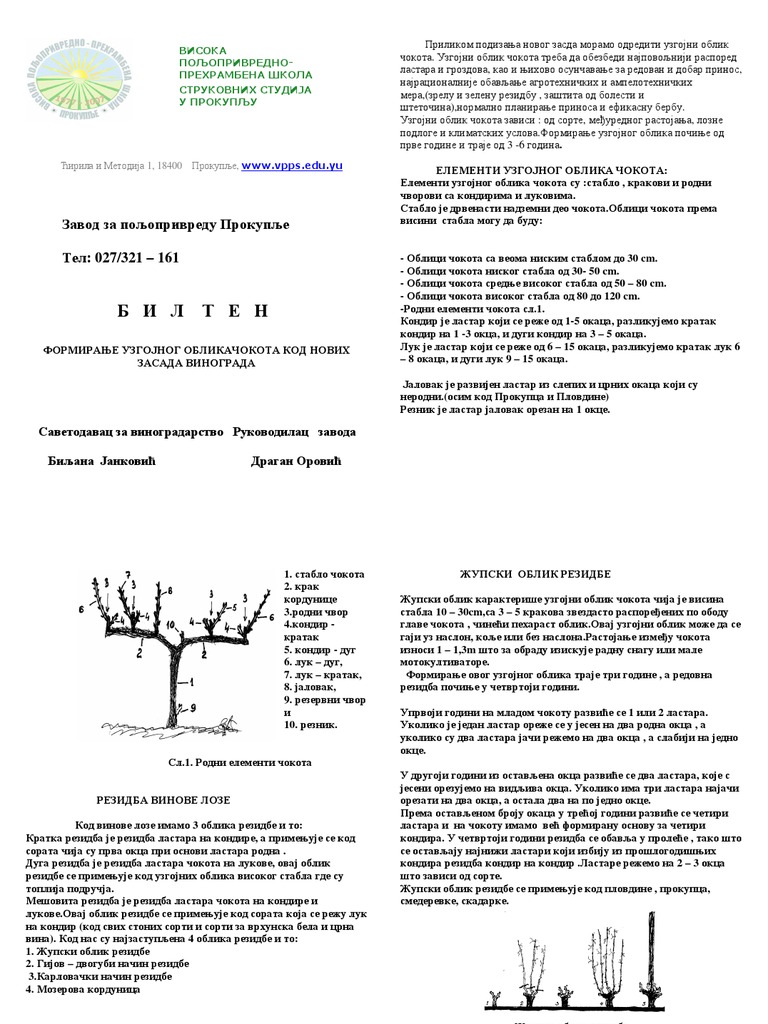 Formiranje Uzgojnog Oblika Kod Novih Zasada Vinograda | PDF