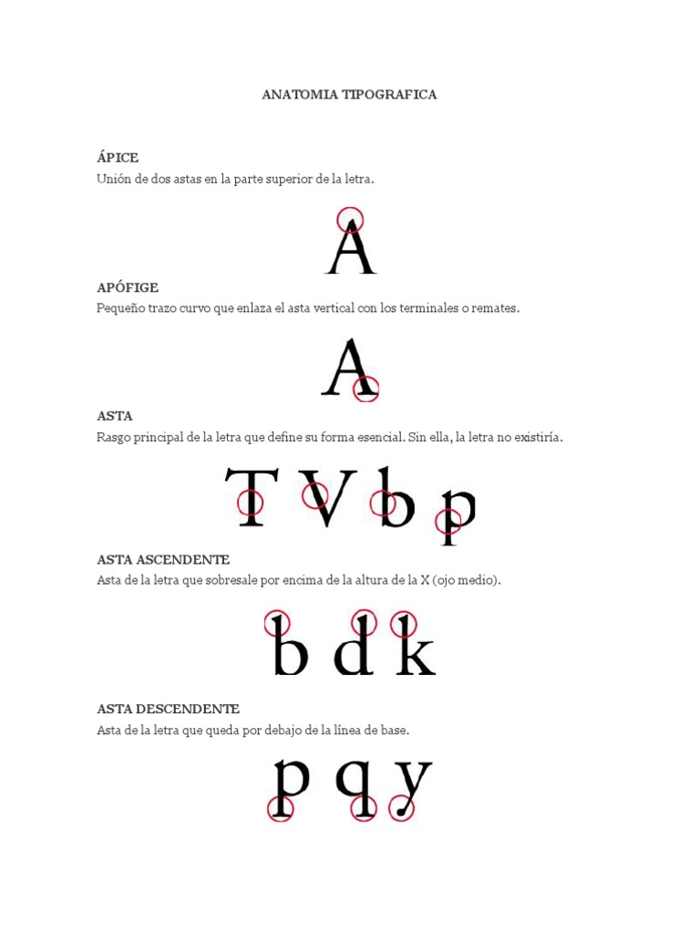 Anatomia de Las Letras PDF | PDF | Tipografía | Comunicación escrita