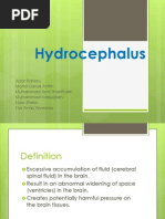 NURSING CARE PLAN - Hydrocephalus | PDF | Cerebrospinal Fluid ...