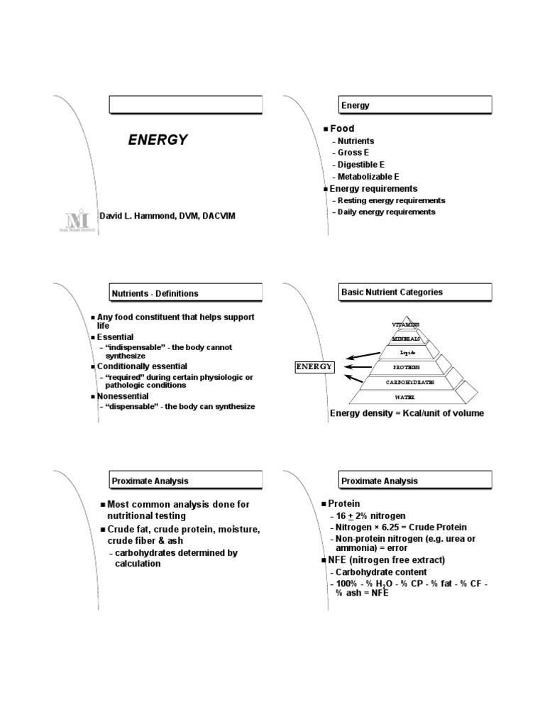 Energy and Prox Analysis | PDF | Nutrients | Food And Drink