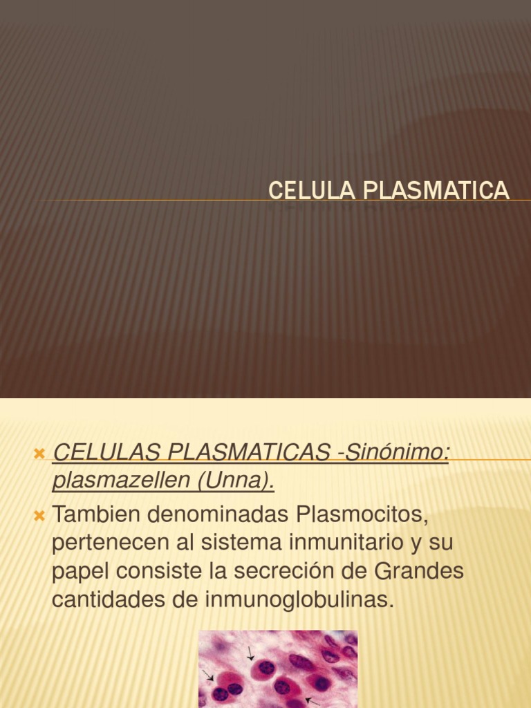 Celula Plasmatica | PDF | Linfocitos | Sistema linfático