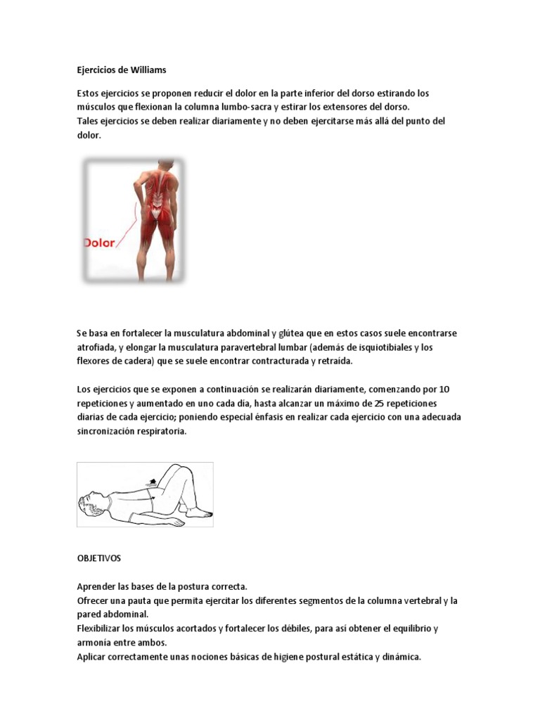 Ejercicios de Williams | PDF | Rodilla | Dolor lumbar
