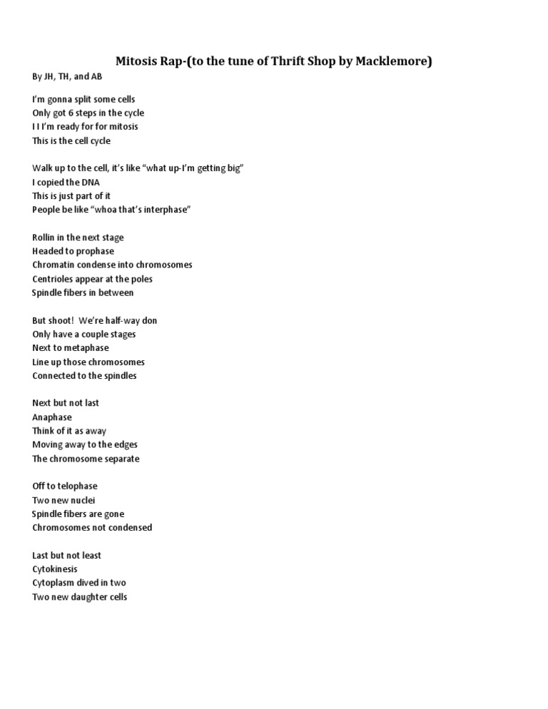 2 Mitosis Rap - Thrift Shop | PDF