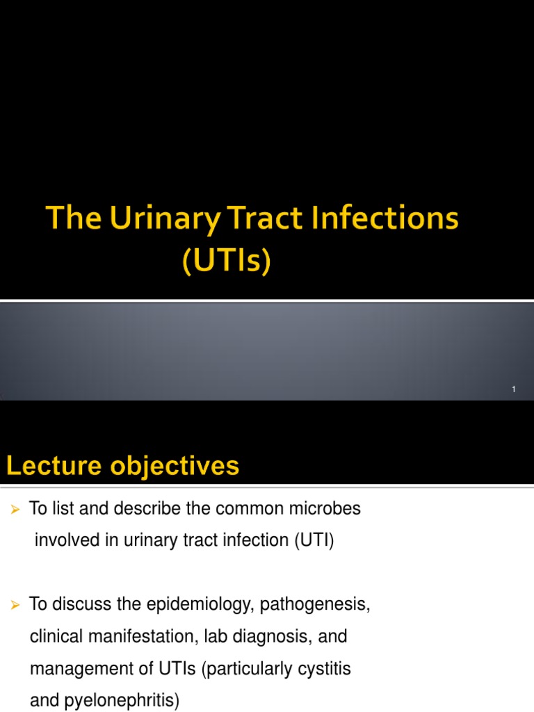 Renal Microbiology | PDF | Urinary Tract Infection | Infection