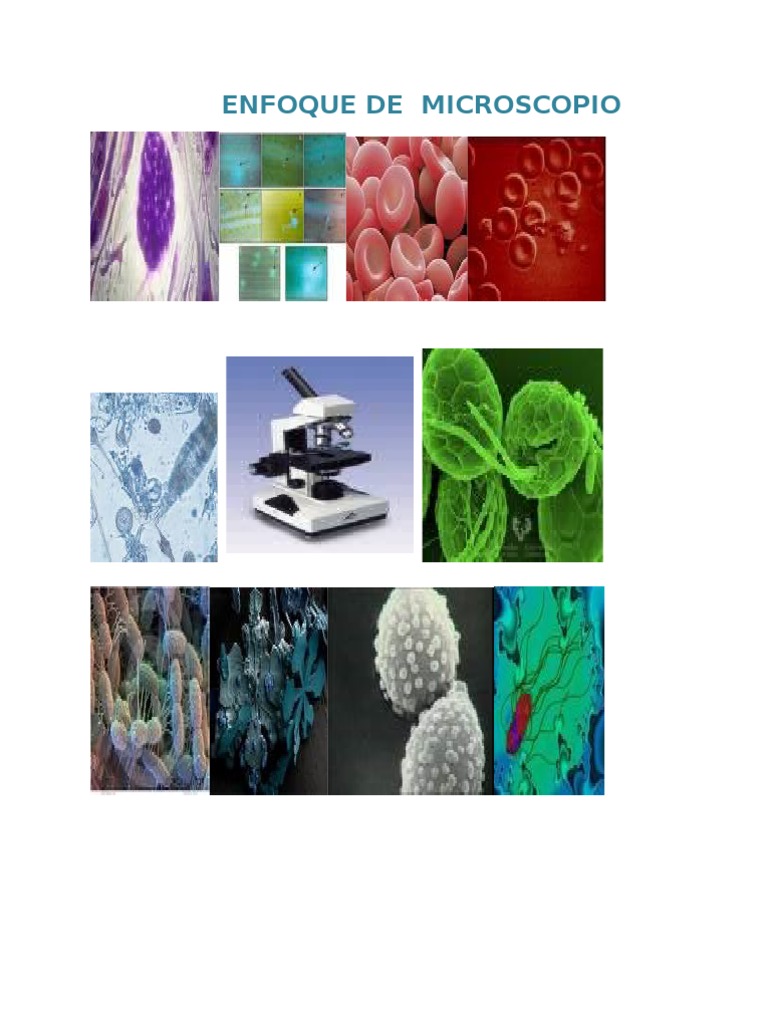 Enfoque de Microscopio | PDF | Color