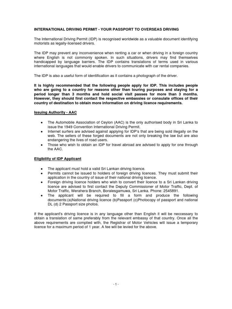 International Driving Permit Guide | PDF