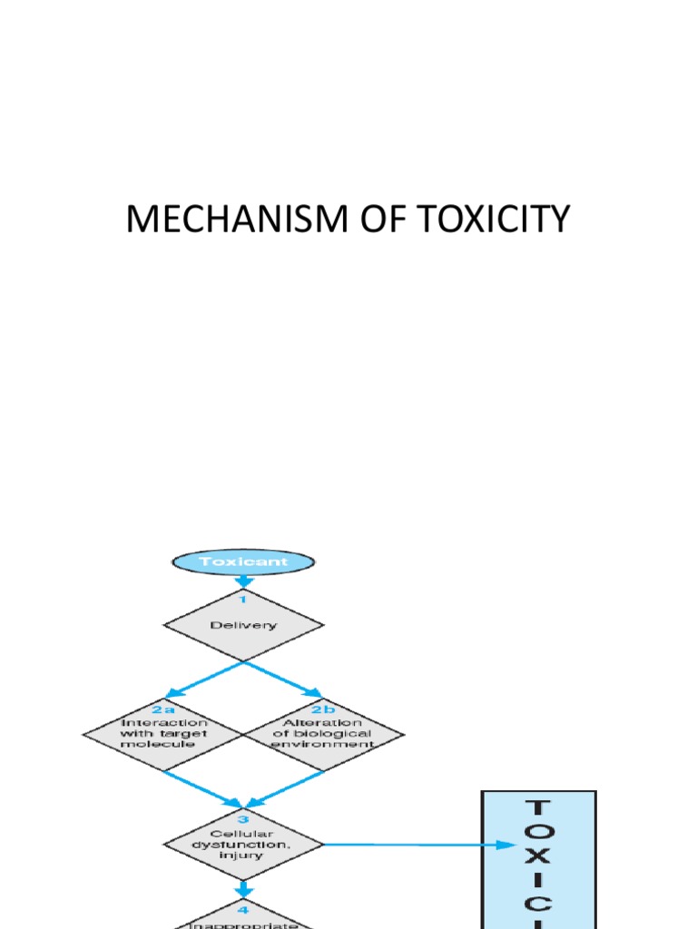 Mechanism of Toxicity | Radical (Chemistry) | Chemical Reactions