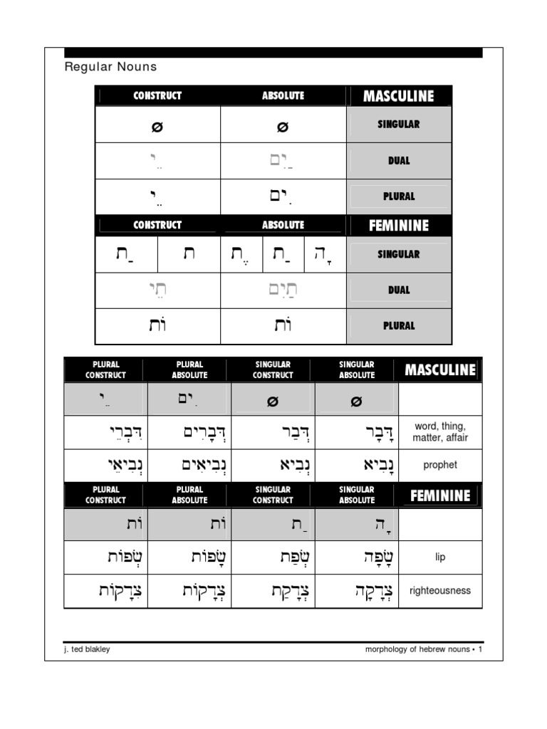 Hebrew Noun Morphology Guide | PDF | Grammatical Gender | Grammatical ...