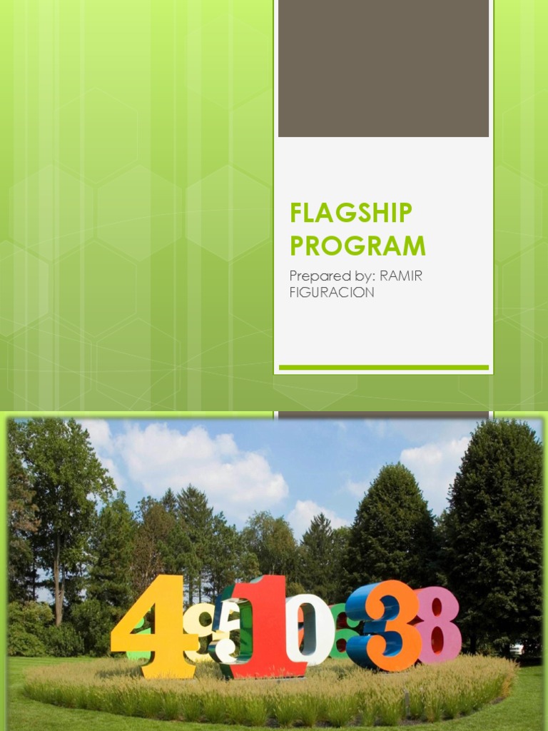 Flagship Program in Math | Download Free PDF | Lesson Plan | Learning