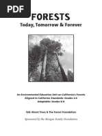 Food Chain Graphic Organizer | PDF | Foods