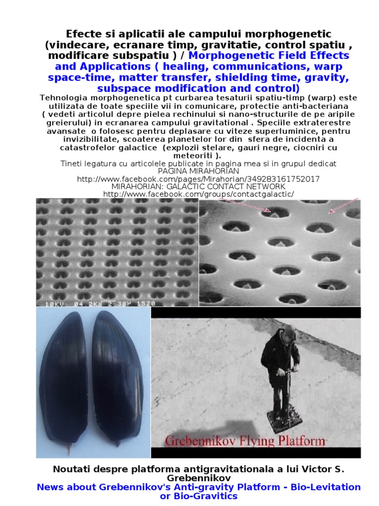 Morphogenetic Field Effects and Applications | PDF | Beehive | Insects