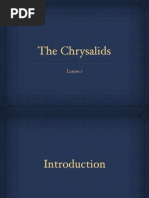 The Chrysalids Chapter Notes Questions | PDF
