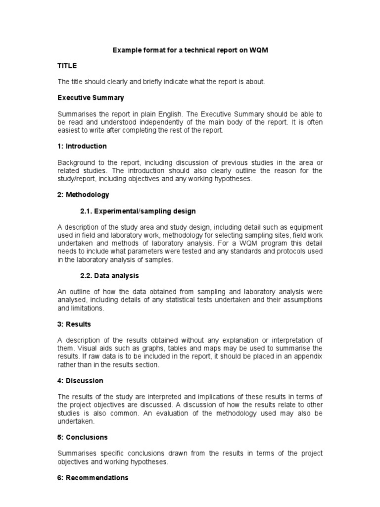 Example Technical report