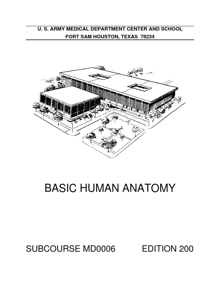 Human Anatomy | PDF | Epithelium | Tissue (Biology)