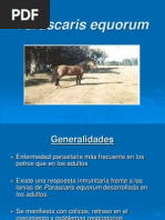SISTEMA DE EVALUACION Y CLAUDICACION EN EQUINOS Final | PDF | Caballos ...