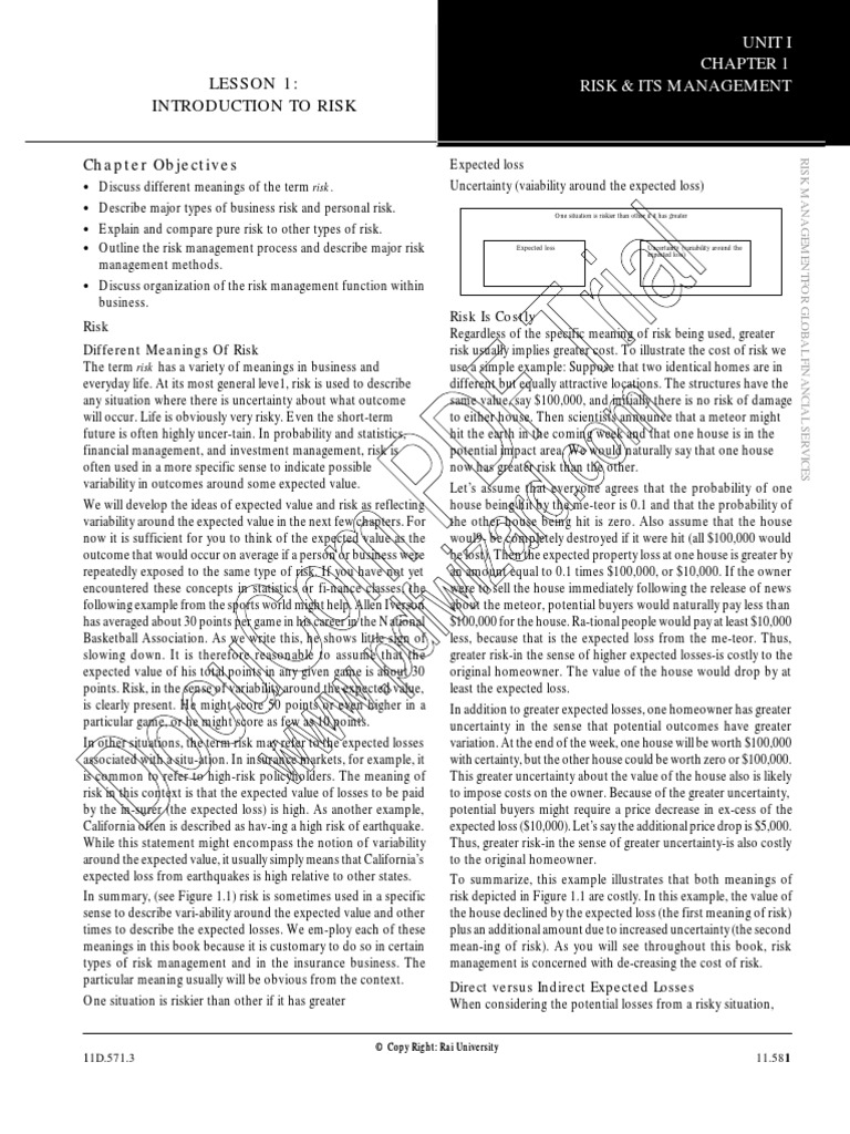 Risk Management | PDF | Risk | Risk Management